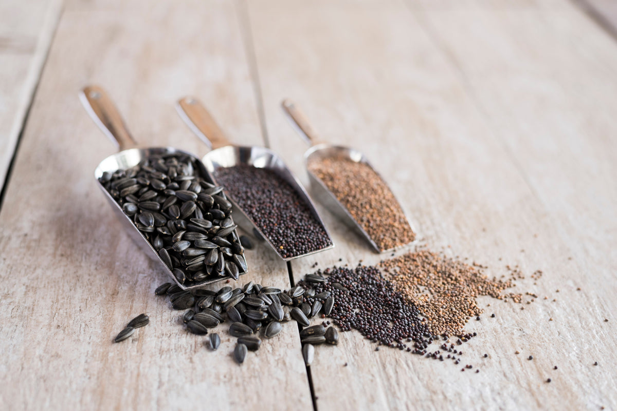 Sprouting Seeds – Tagged "seeds"– Sun Grown